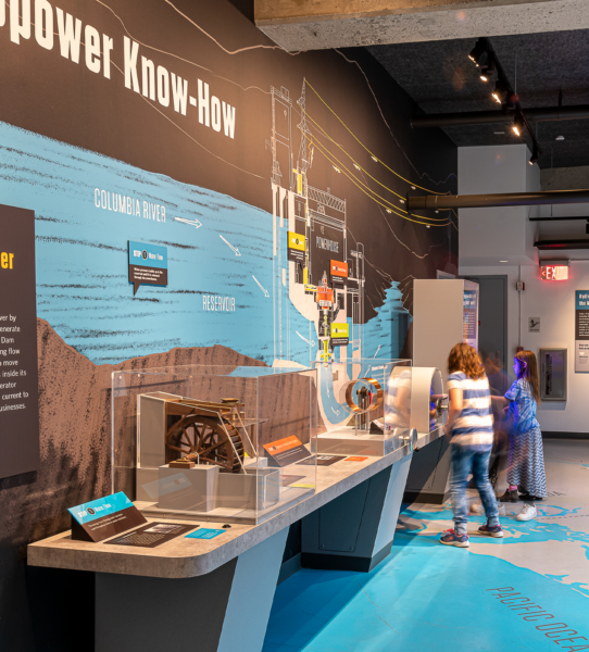 Rocky Reach Discovery Center - TCF Architecture